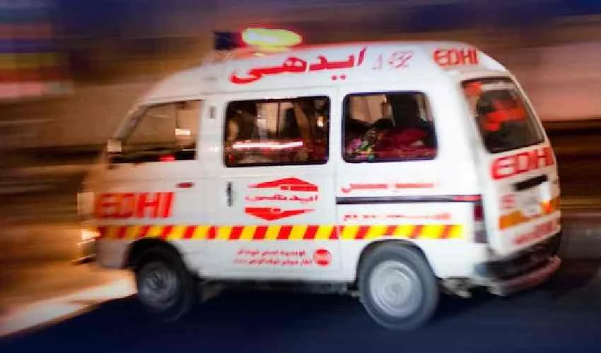 Two sons of tribal leader killed in Waziristan shootingPublished on ...