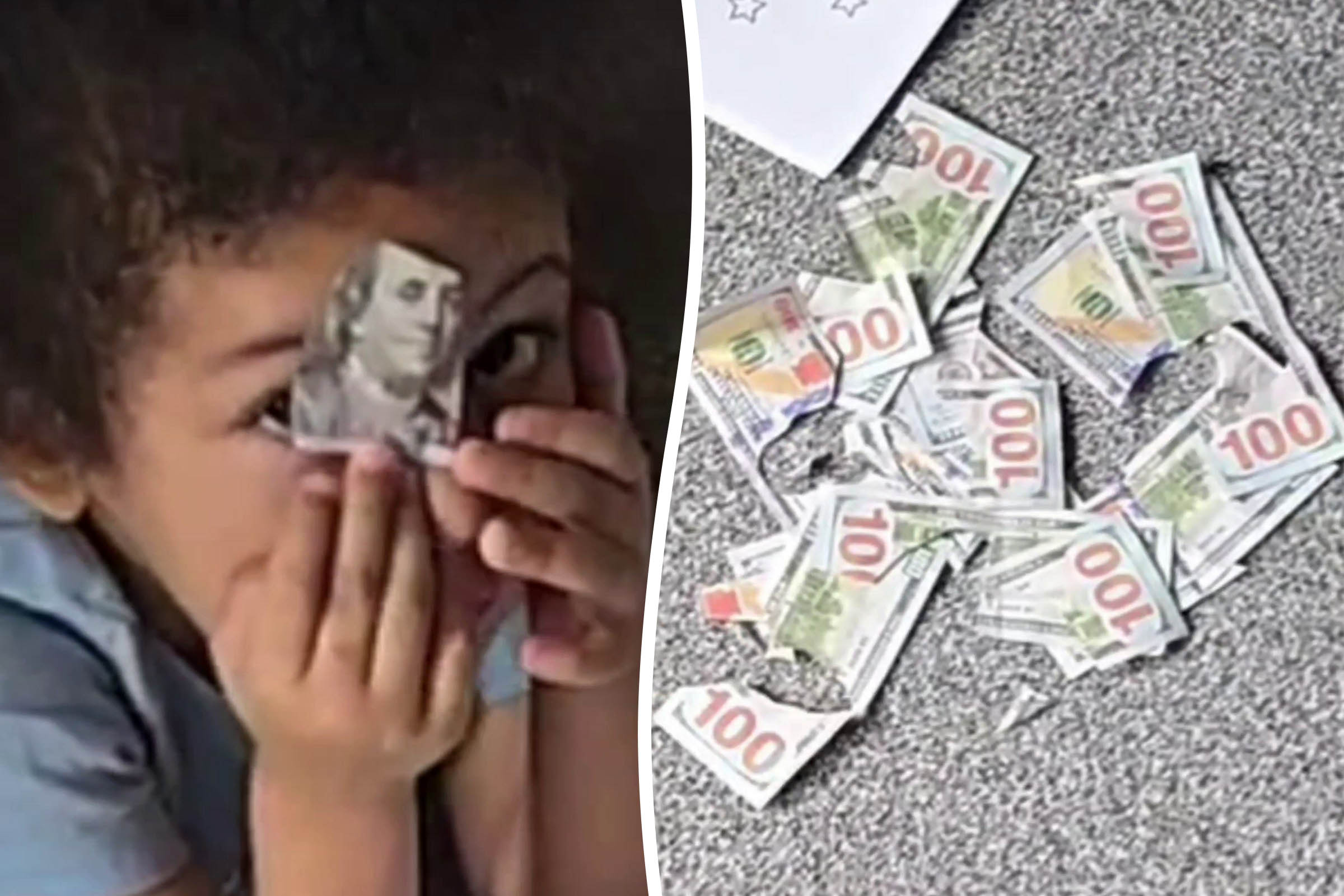 Toddler cuts up $1,800 cash for arts and crafts project