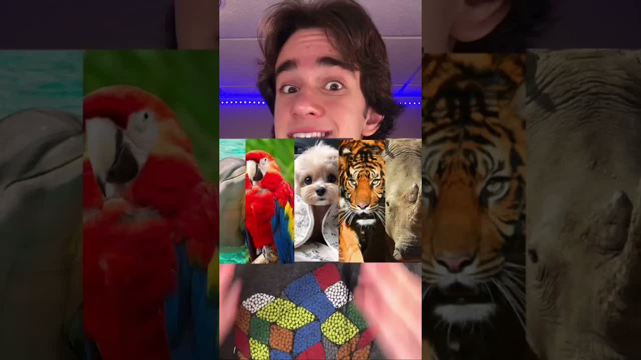 This quick puzzle predicts the animal you picked