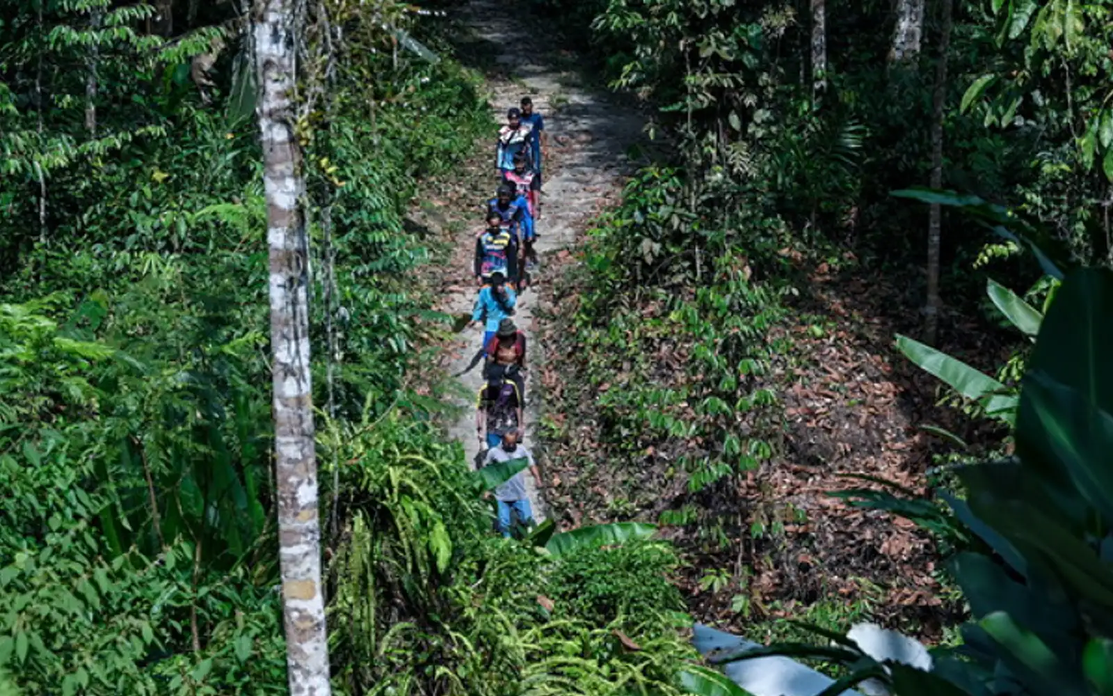 Public barred from joining search for hiker over safety concerns