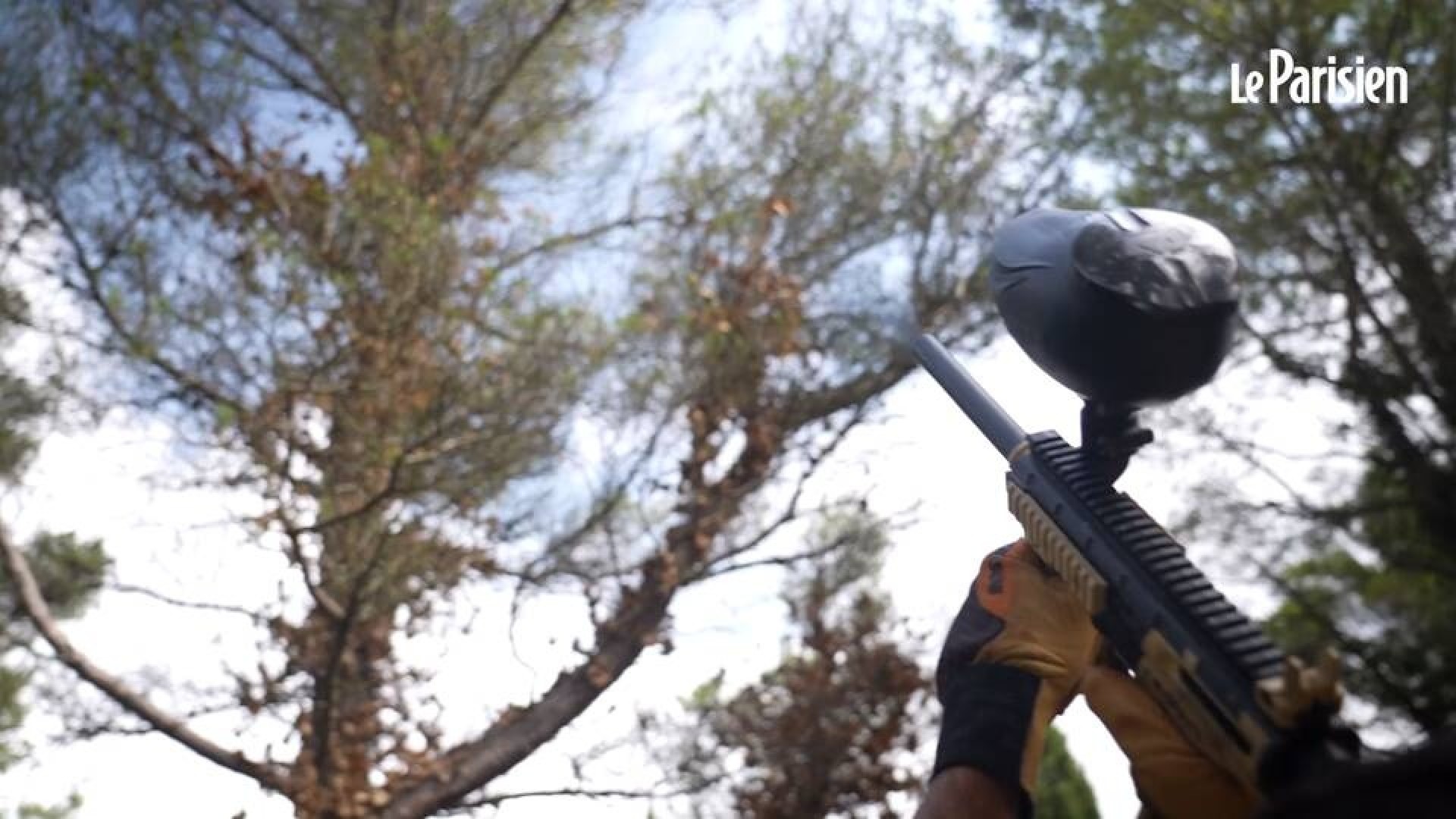 Pascal tire au paintball pour lutter contre les chenilles processionnaires