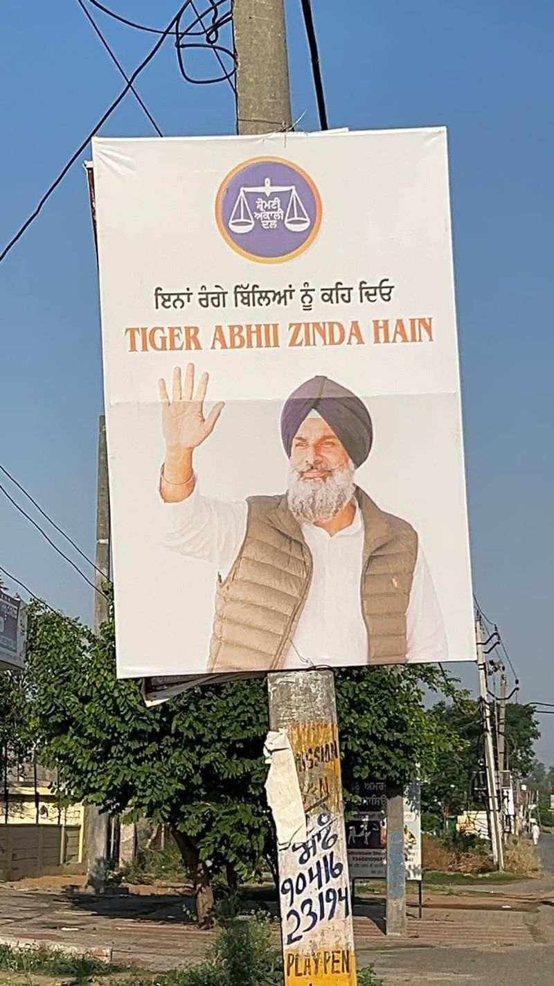 Bikram Majithia row escalates: 'Tiger abhi zinda hai' posters counter ...
