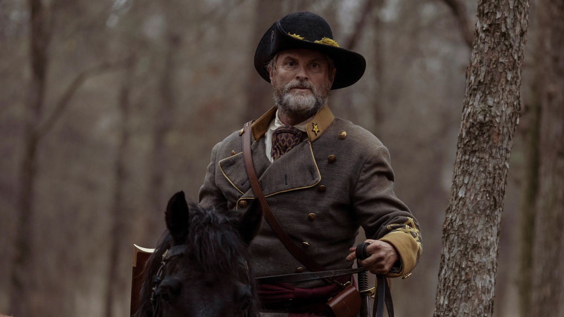 Netflix finds new global hit with Taylor Sheridan's overlooked western ...