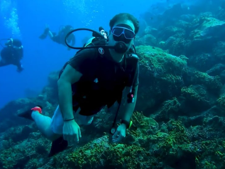 Watch: Rahul Gandhi does scuba diving in Nicobar, claims PM Modi's ...