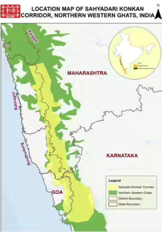 Tiger spotted in Maharashtra's Ratnagiri private forest after 18 years ...