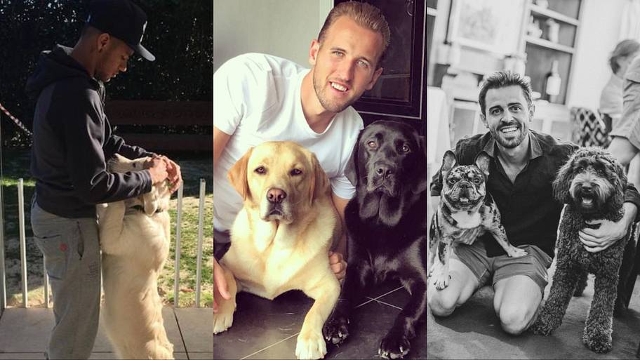 World Cup stars & their four-legged friends