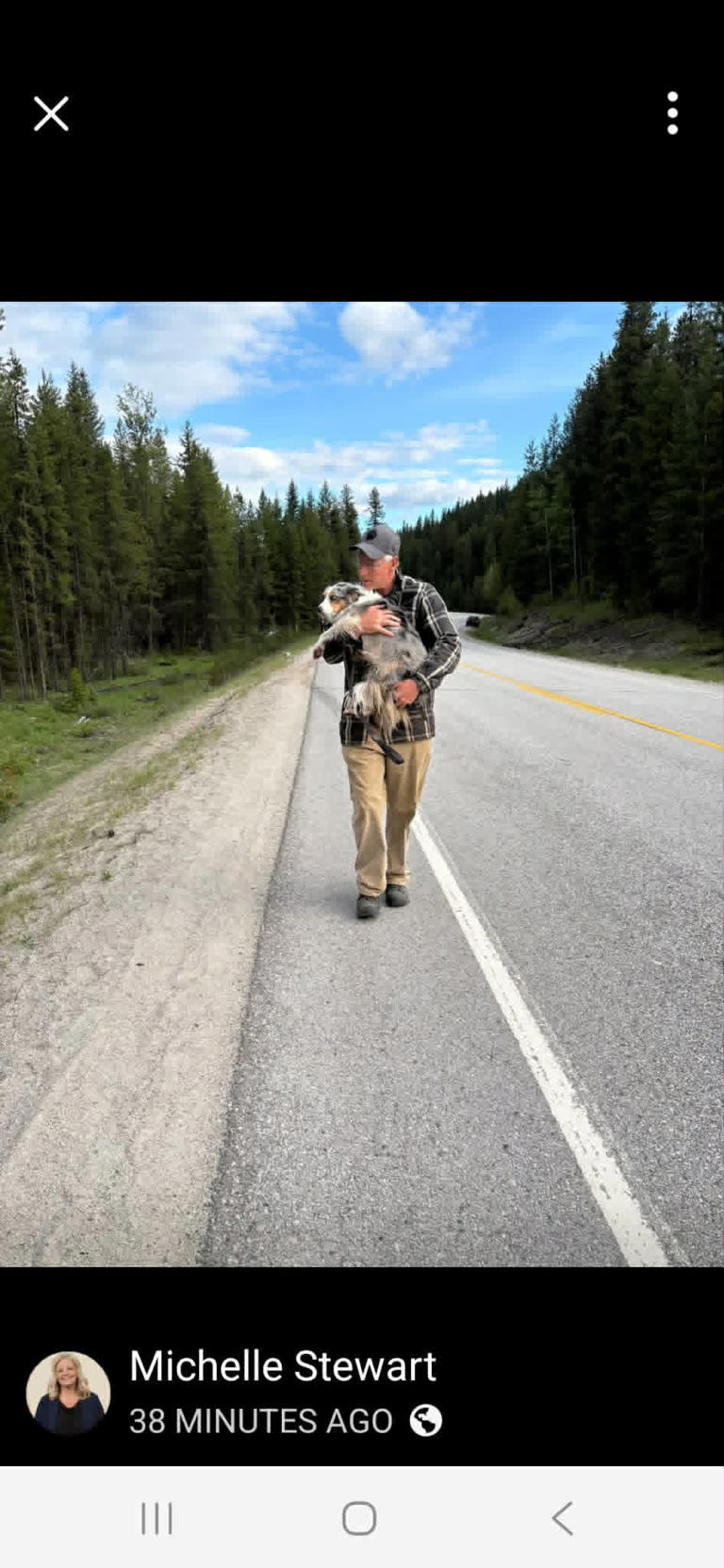 ‘We need one more miracle’: Kelowna dog safe at home after surviving ...