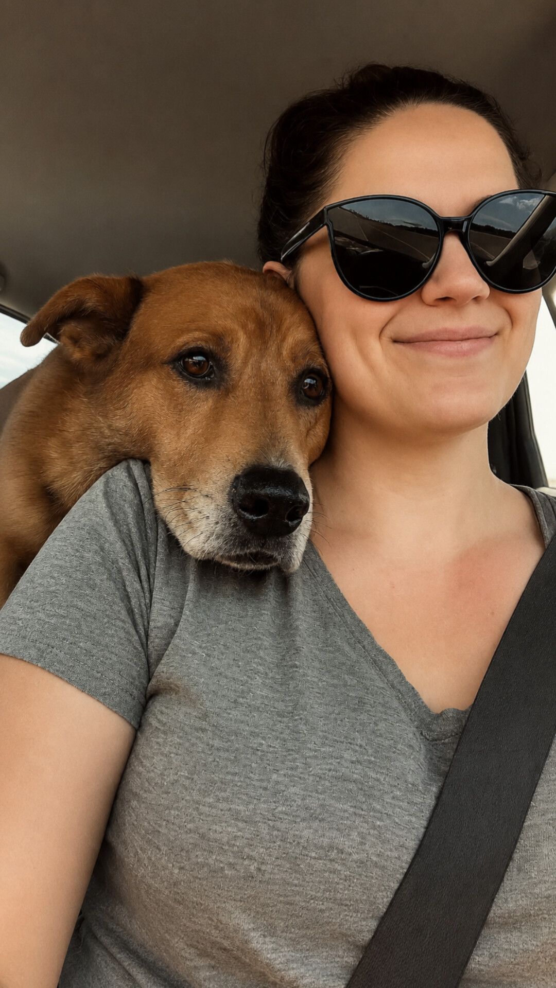Dal rifugio al sedile dell’auto, il cane adottato scopre il suo nuovo ...