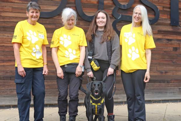 How volunteering and a love of dogs brought three women together in Glasgow
