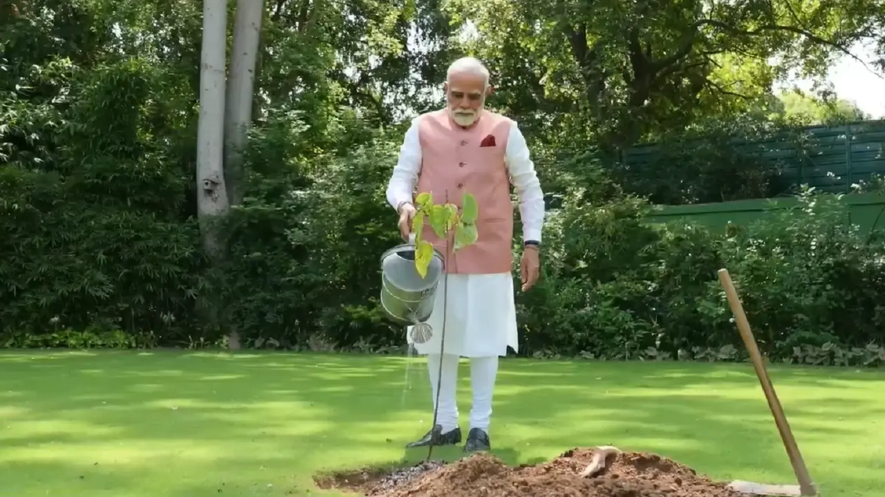 World Environment Day: PM Modi extends wishes, highlights conservation ...