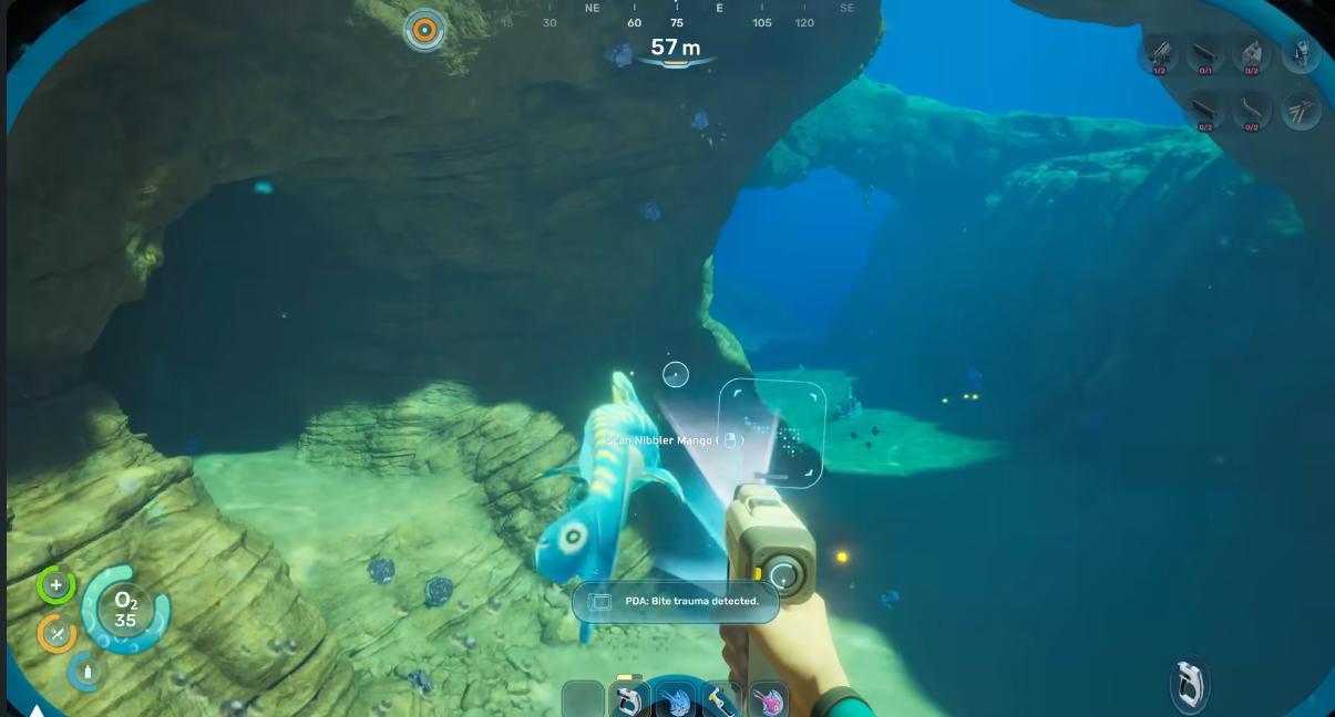 'Subnautica 2' early access expands with new leviathan region, gameplay ...