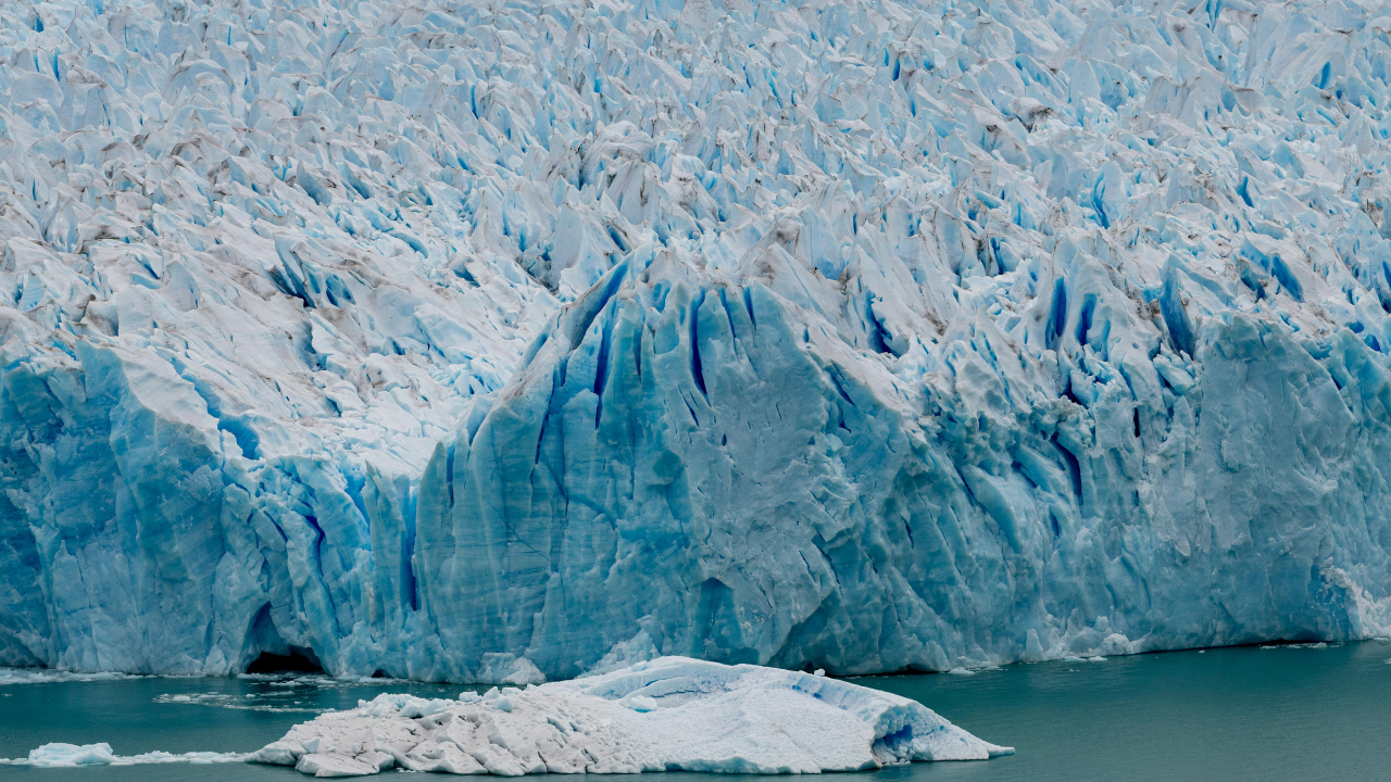 Scientists revive microbes frozen for thousands of years beneath Arctic ice