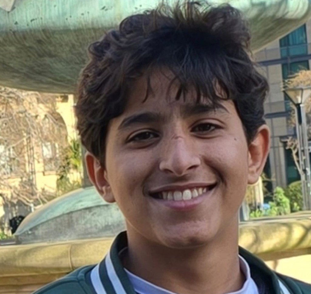 Driver used car as 'weapon' to target e-bike rider but killed teenage ...