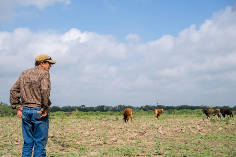 America’s beef farmers can’t catch a break