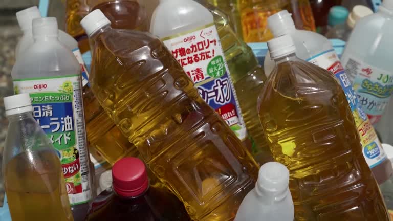 'Fry to fly': Japan steps up bid to turn cooking oil into jet fuel