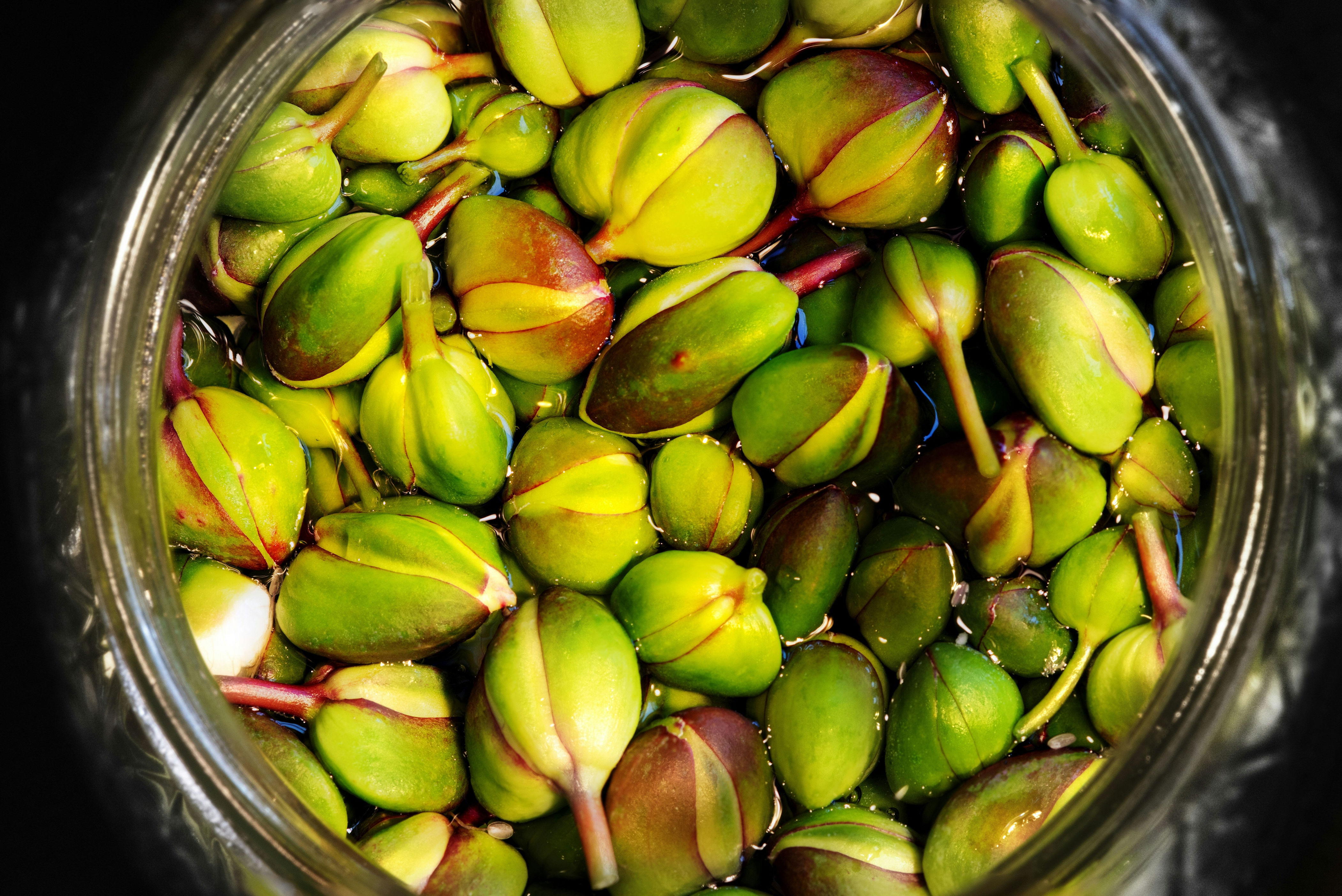 I just learned what capers are made from and it's not what you'd think