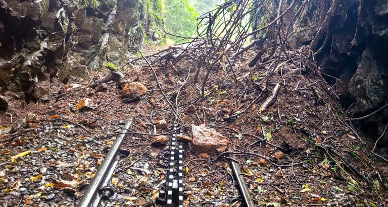 India's 'Blue Mountains' in trouble. What's threatening the Nilgiris?
