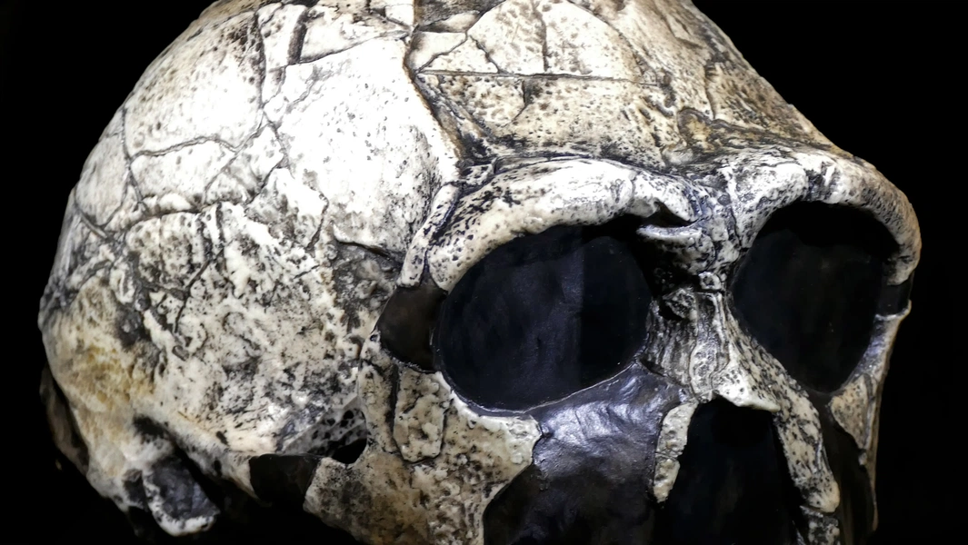 The messy truth about human evolution