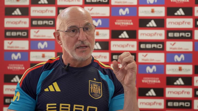 De La Fuente's Spain built on family, faith and long road from 'Luis de ...