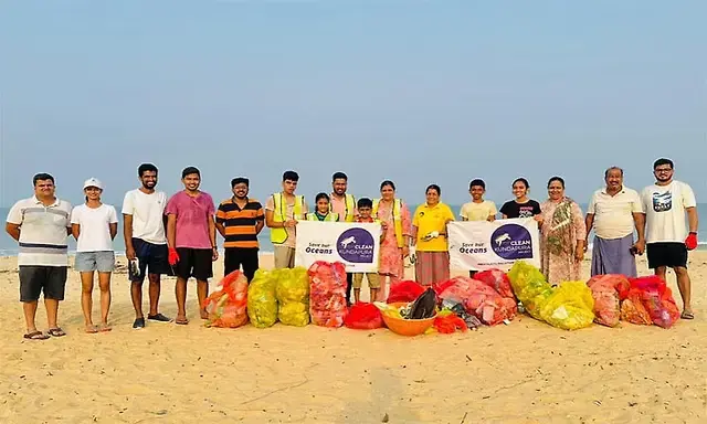 World Environment Day 2026: Sea turtles return, won over by their ...