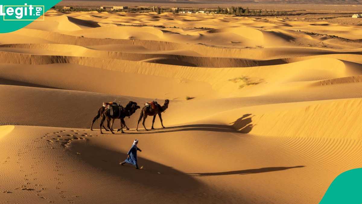 Breaking: Over 40 people die in Niger desert as details emerge