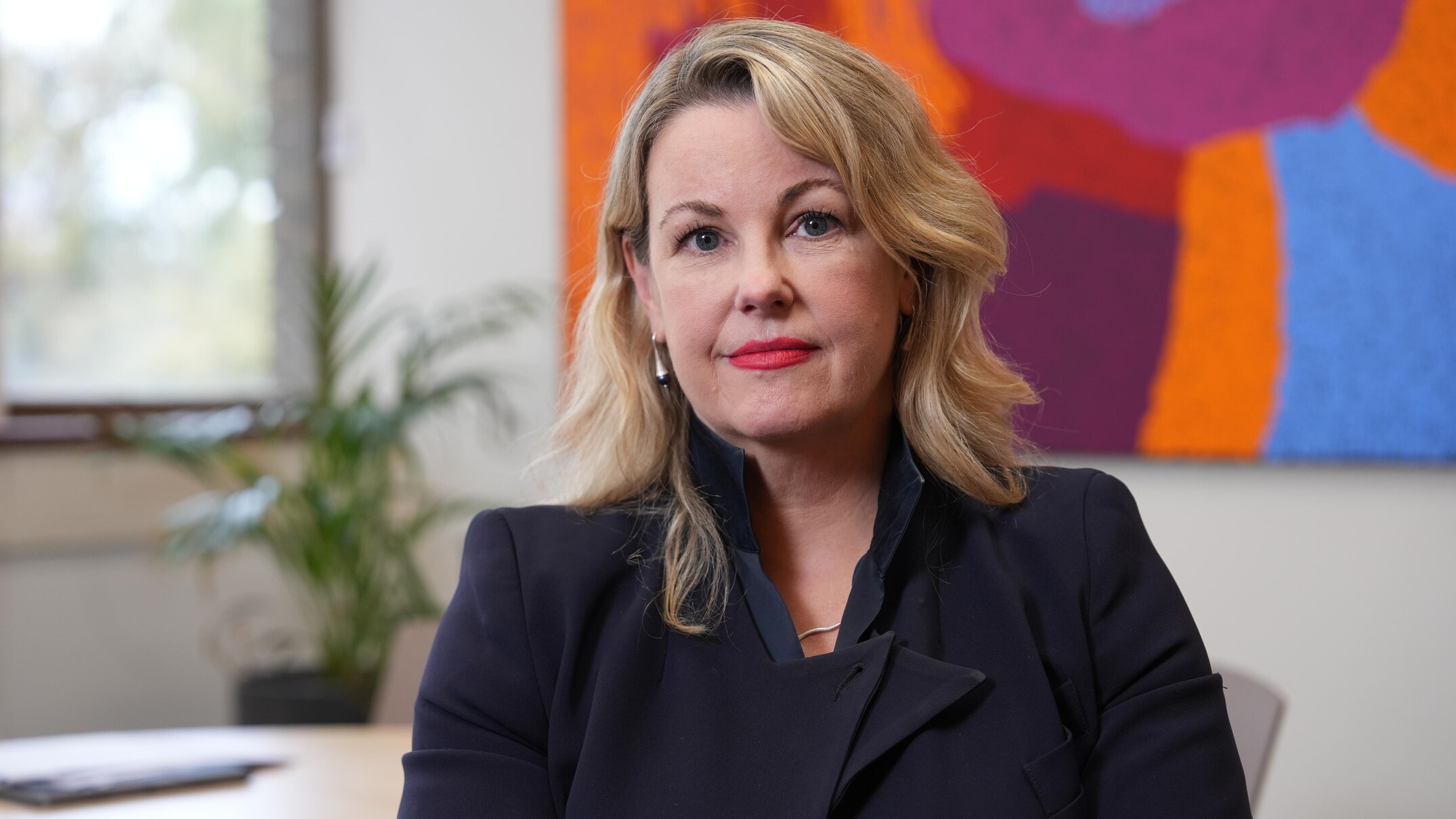 ANU governance issues cost $100m in reputational damage, interim vice ...