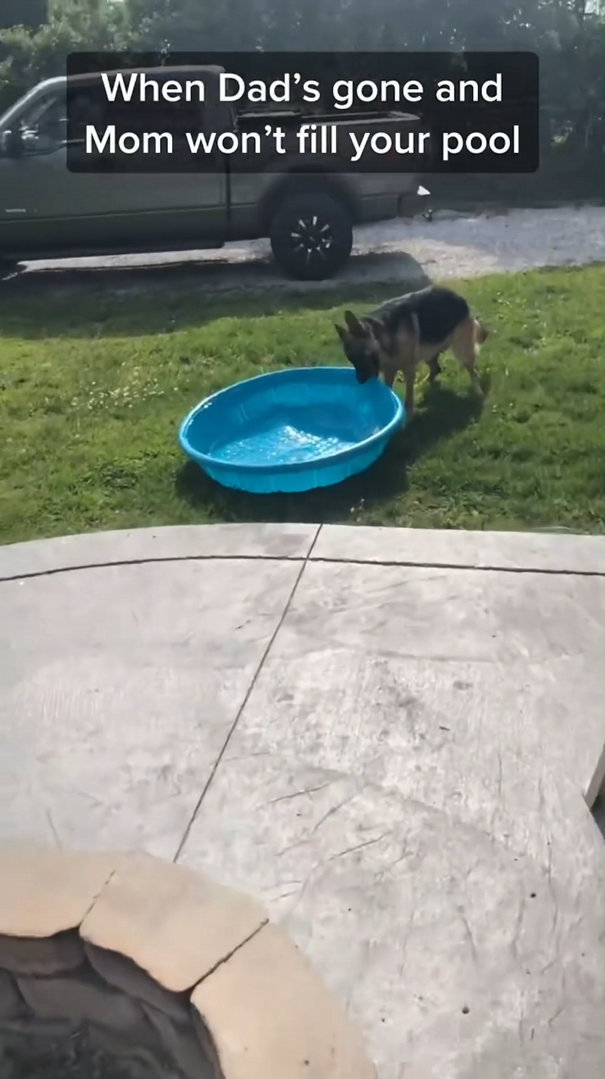 Before we upgraded her pool,