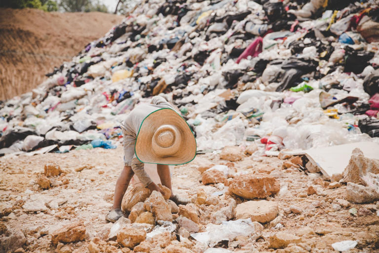 World Environment Day 2026: Outfit repeaters are real style icons; 8 ...