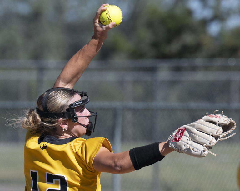CIF NorCal baseball-softball playoffs: Roseville rolls, DCA wins and more
