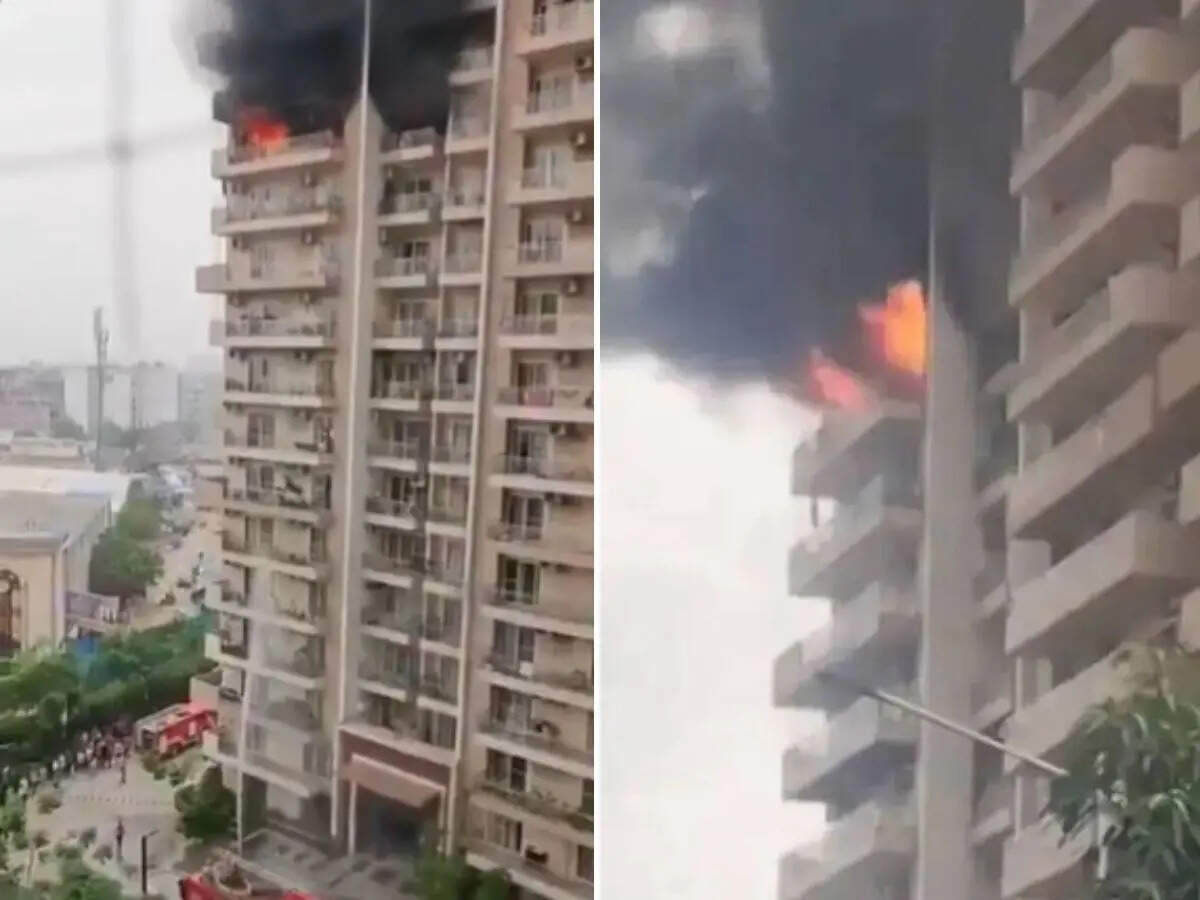 'Paudhon mein paani de rahe hain': Noida Ivy County video sparks debate ...