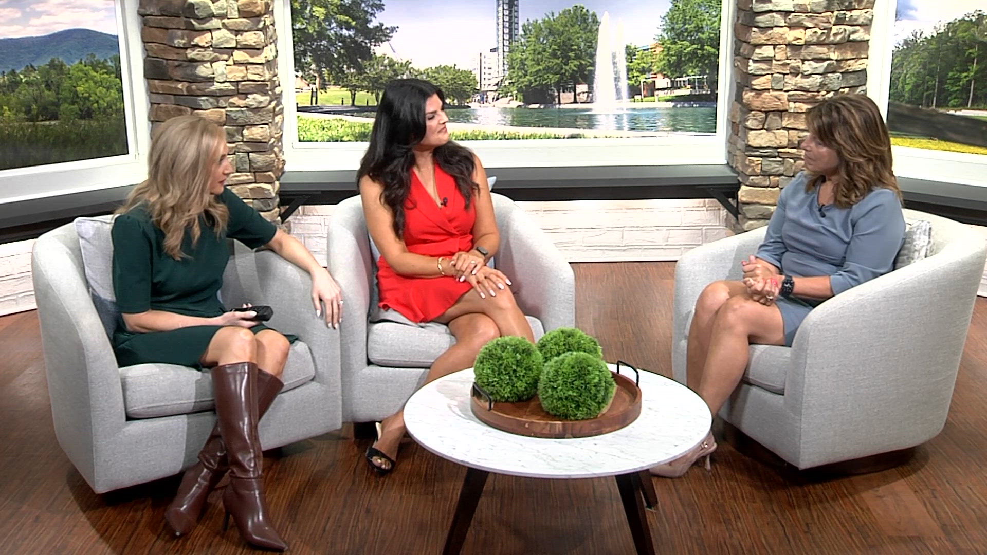 Michelle Silva returns as morning anchor at WBIR