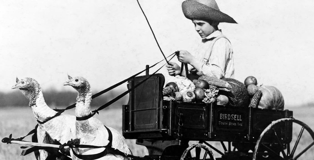 18 bizarre vintage pics from the past