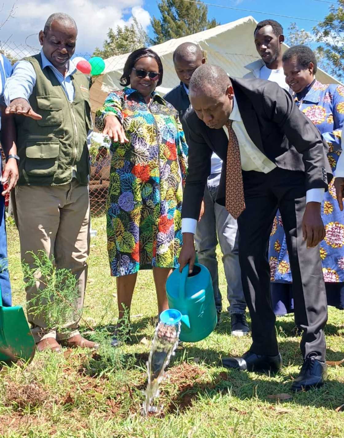 World Environment Day 2026: Moi University intensifies tree planting ...