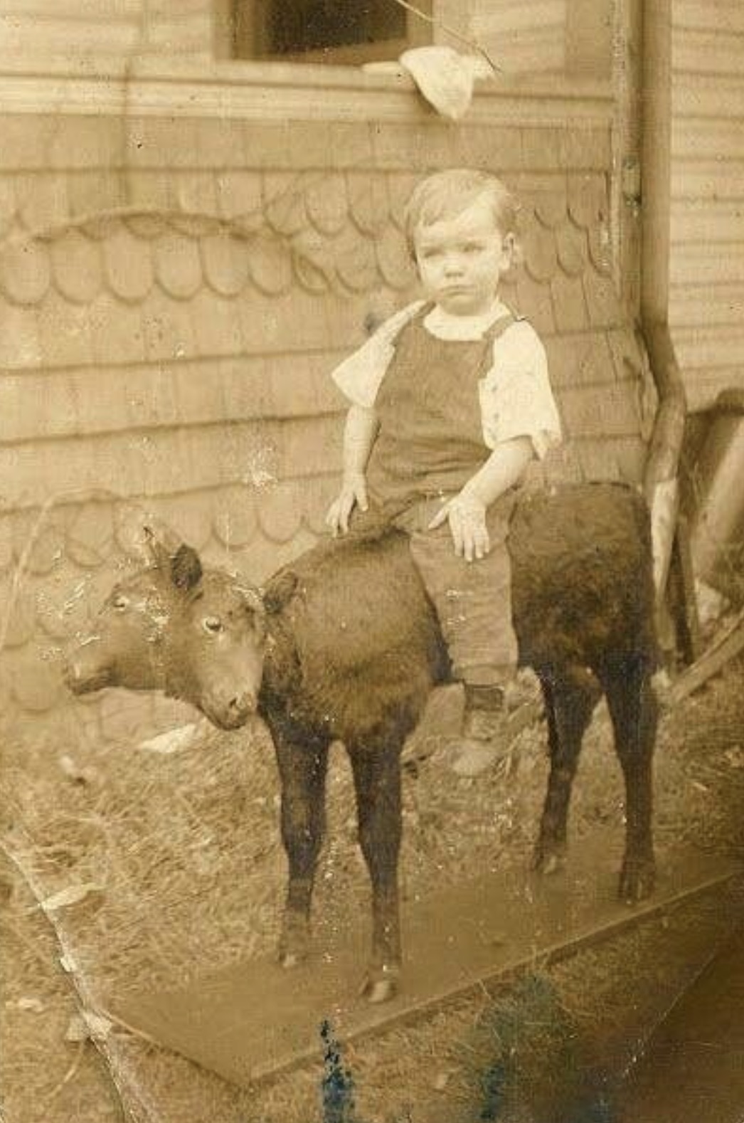 18 bizarre vintage pics from the past