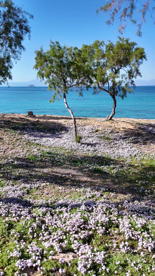 The magic of Aegina Island in the Aegean Sea