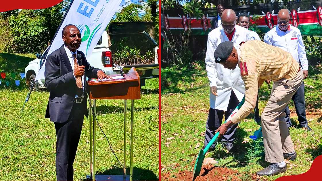 World Environment Day 2026: Moi University intensifies tree planting ...