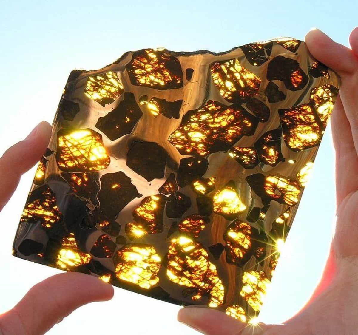 Interesting photos of naturally occurring objects cut in half