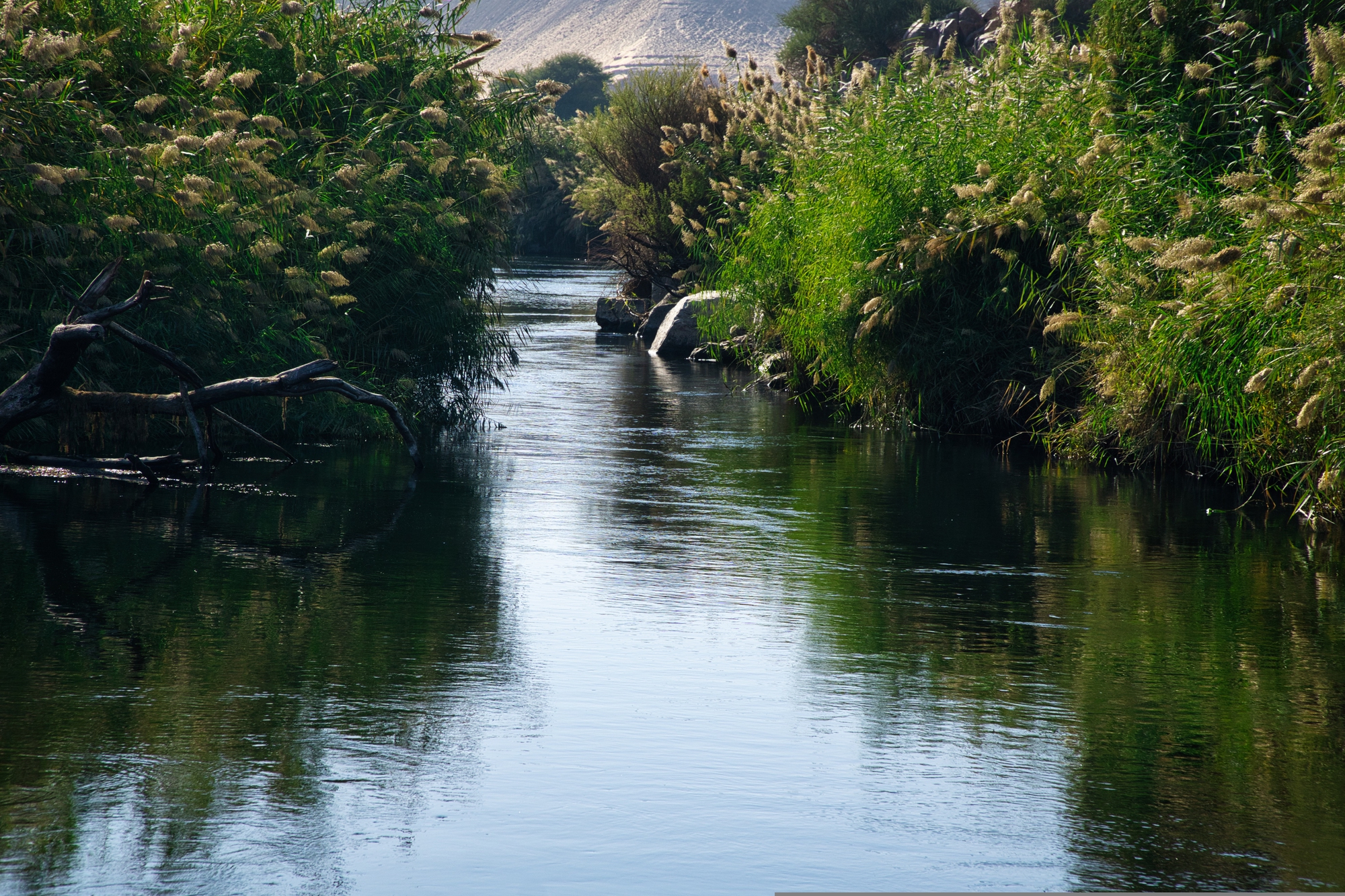 16 rivers that reverse direction at least once a year