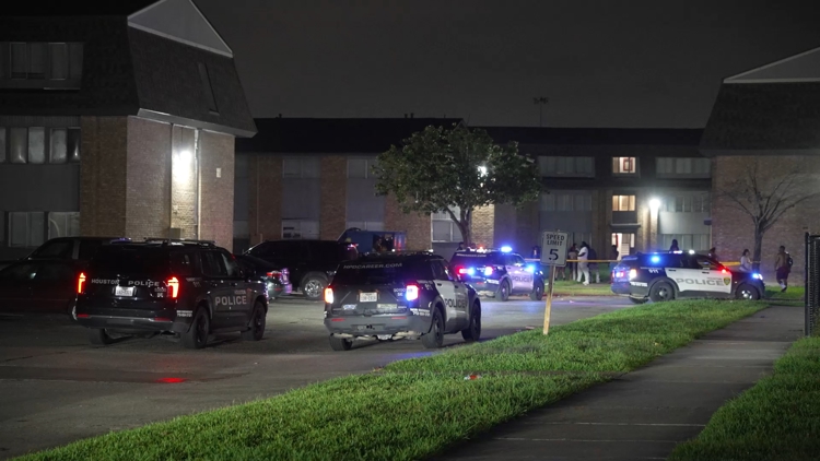 Police investigating after man dies following stabbing at Houston ...
