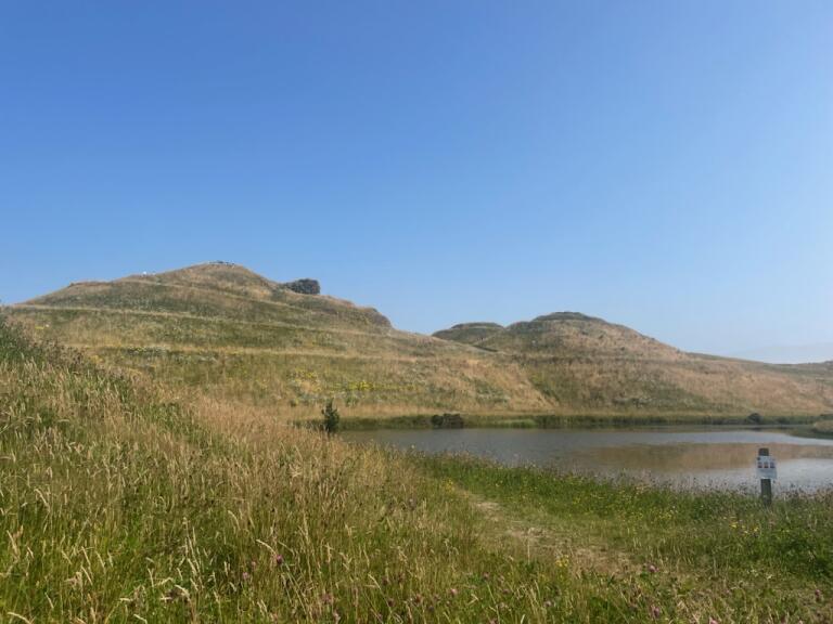 Wild old time guaranteed at Northumberland nature reserve