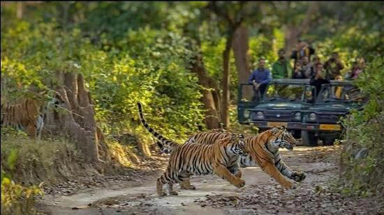Corbett Tiger Reserve to ban plastic water bottles across all zones ...