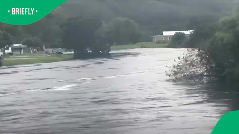 Western Cape flooding sparks concern as rivers swell and residents ...