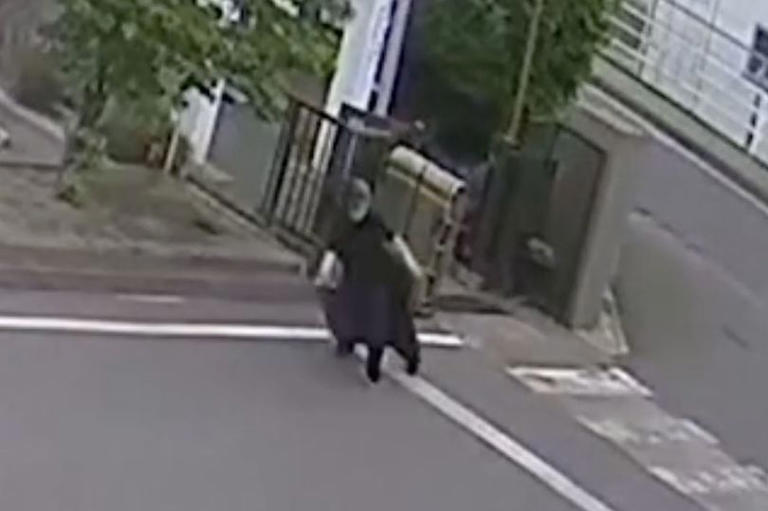 Extremely intelligent bear on the loose in Japan after it attacks four ...