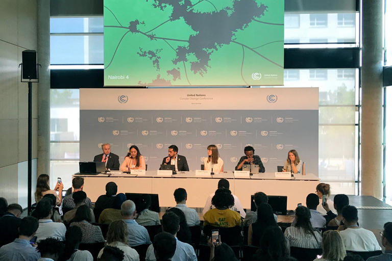 Visa problems shut poorest countries out of crucial UN climate talks