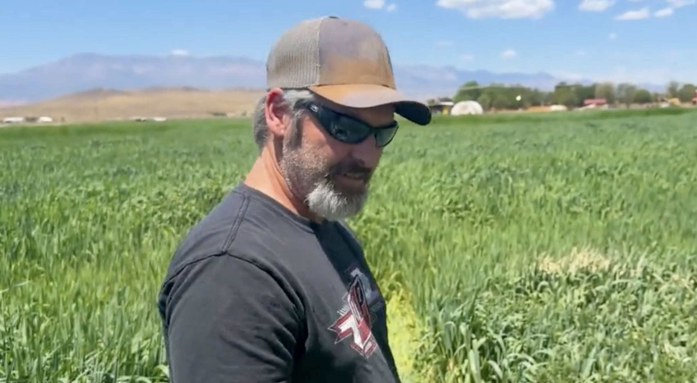 Utah farmer’s field damaged by trespassing TikTokers trying to get a ...
