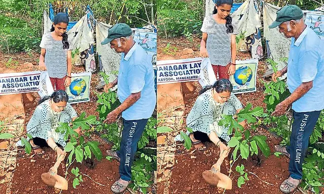 World Environment Day 2026: At 88, his passion for growing trees ...