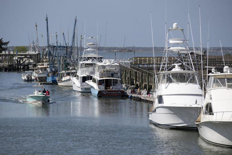 'Alcohol use' was first contributor to fatal Mount Pleasant boat crash ...
