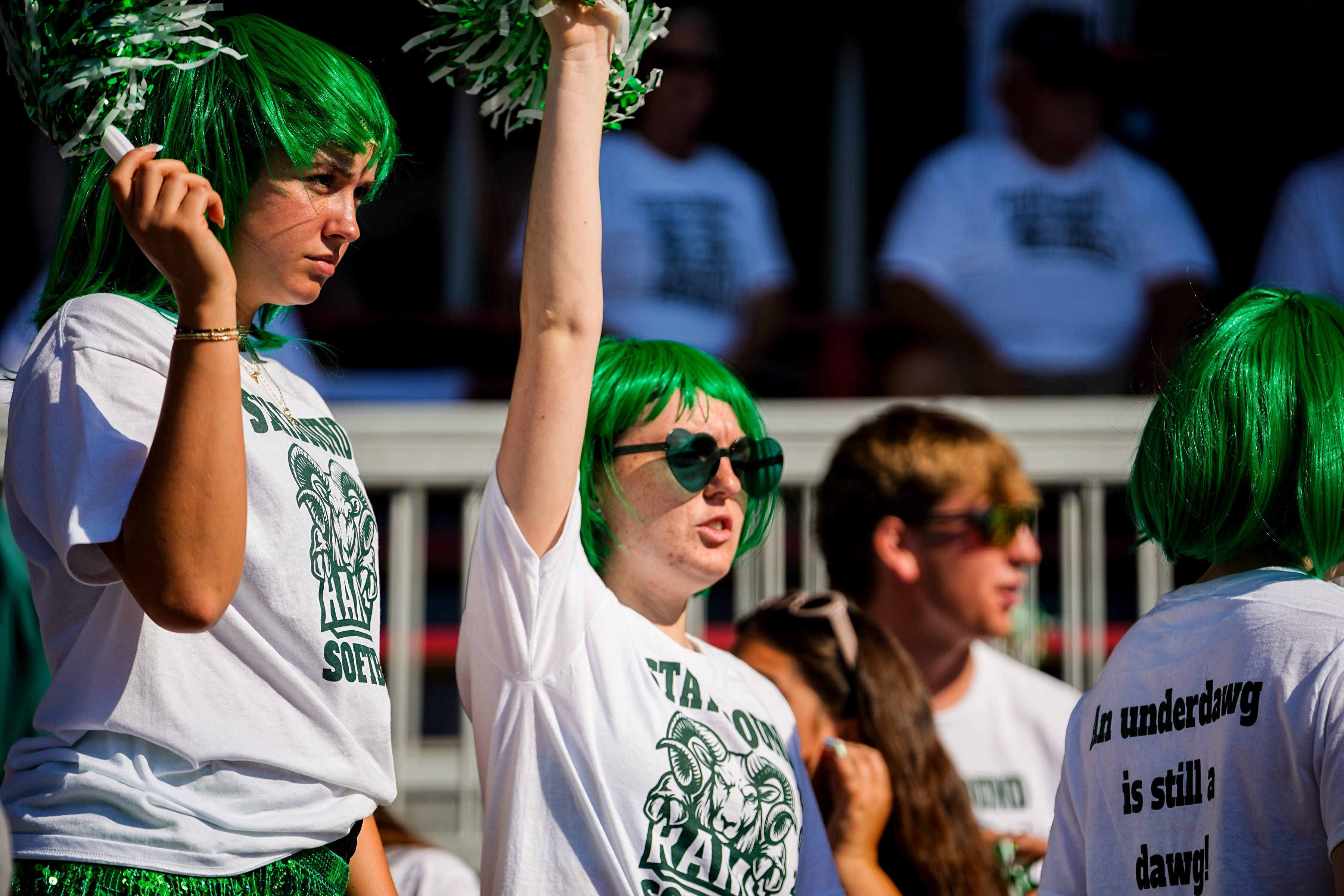 Live updates: Madison softball in Division III state semifinal game