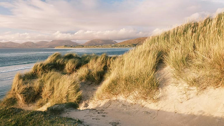 ‘None of us could have predicted this’: Scottish island closes on ...