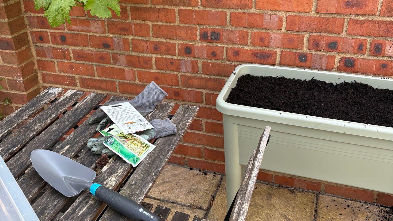 This compact grow table is the perfect way to start a vegetable patch ...
